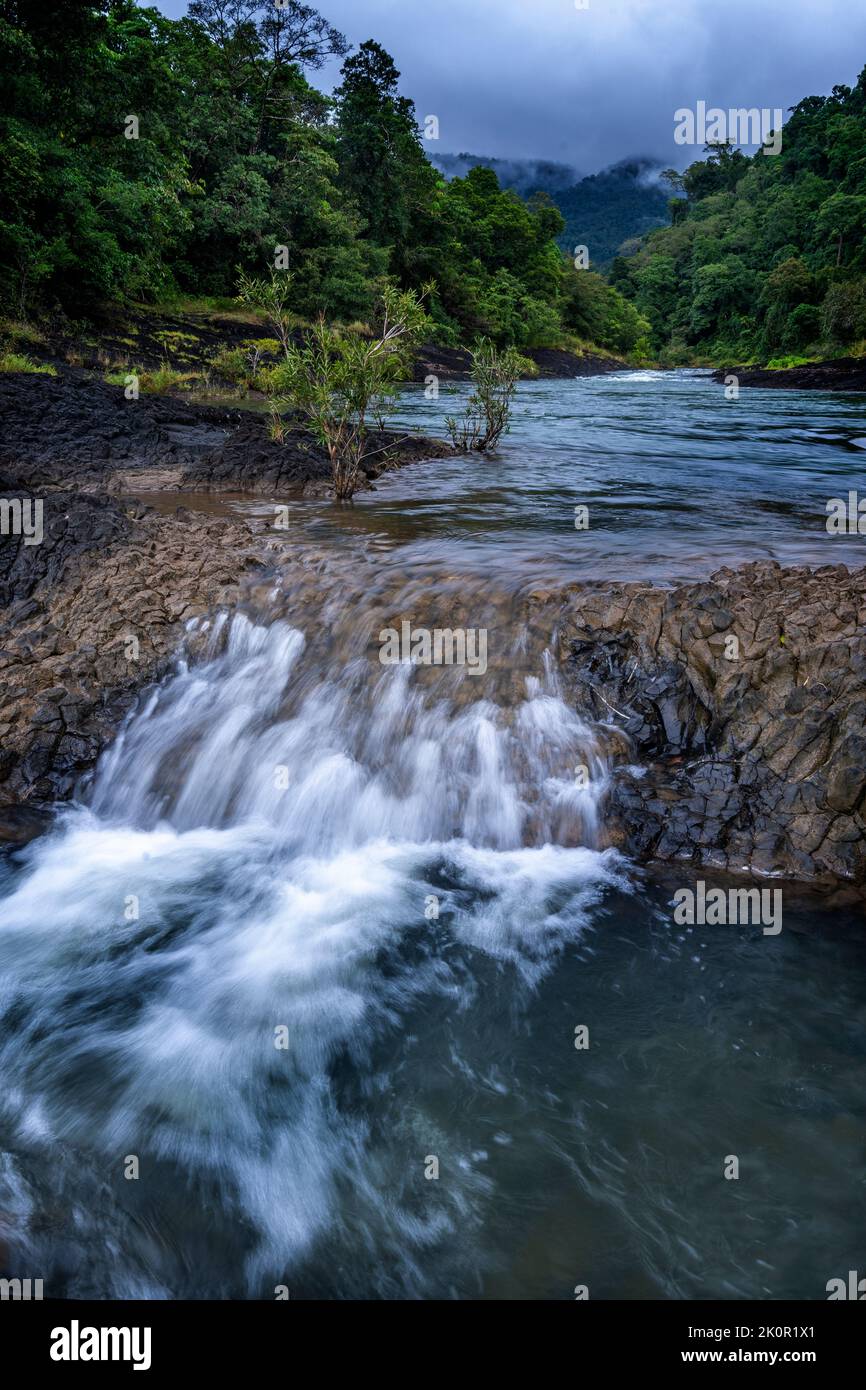 Wet tropics of queensland heritage hi-res stock photography and images ...