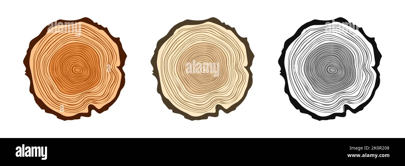 Round tree trunk cuts in various colors, sawn pine or oak slices ...