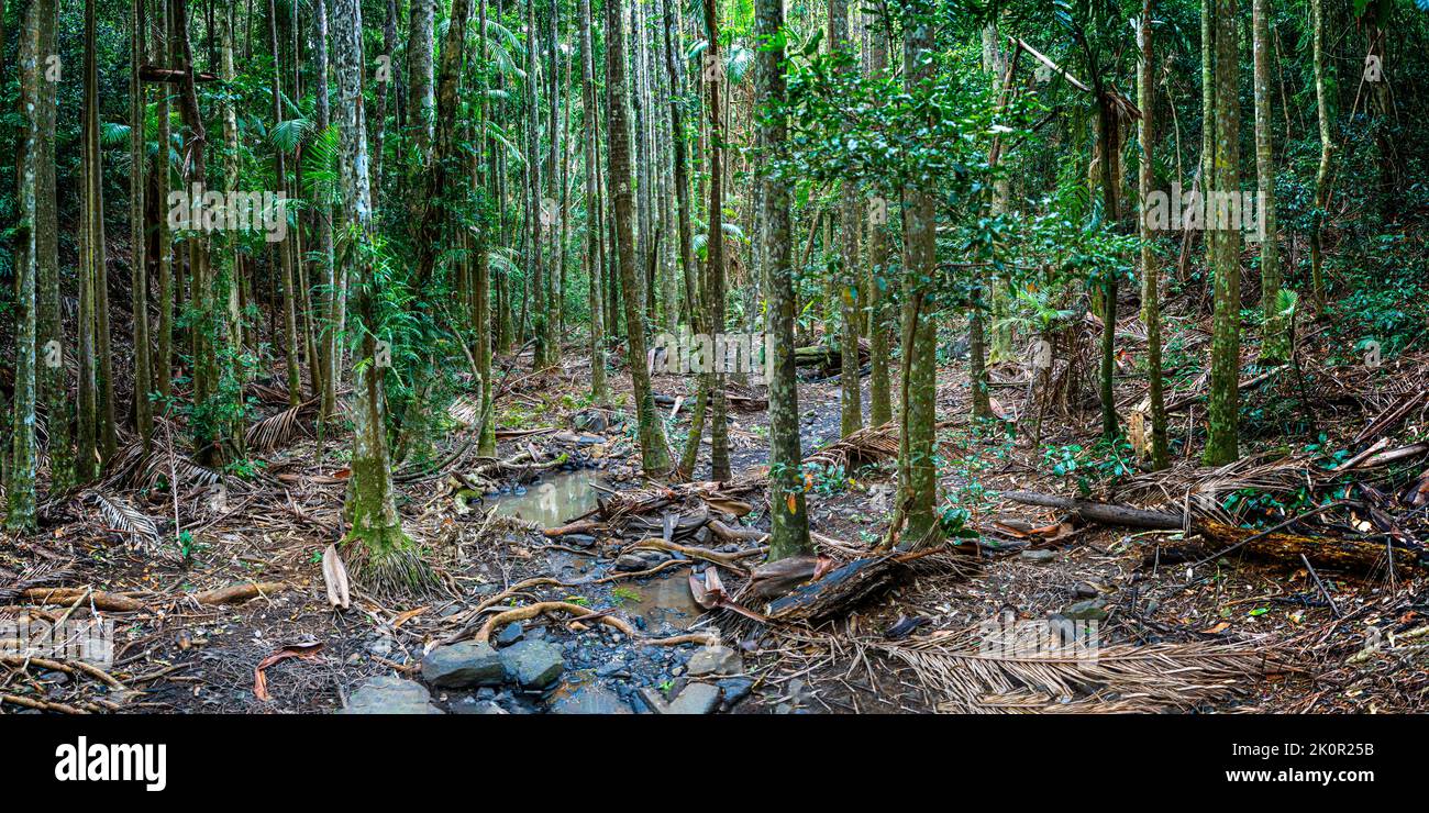 Mapleton national park queensland hi-res stock photography and images ...