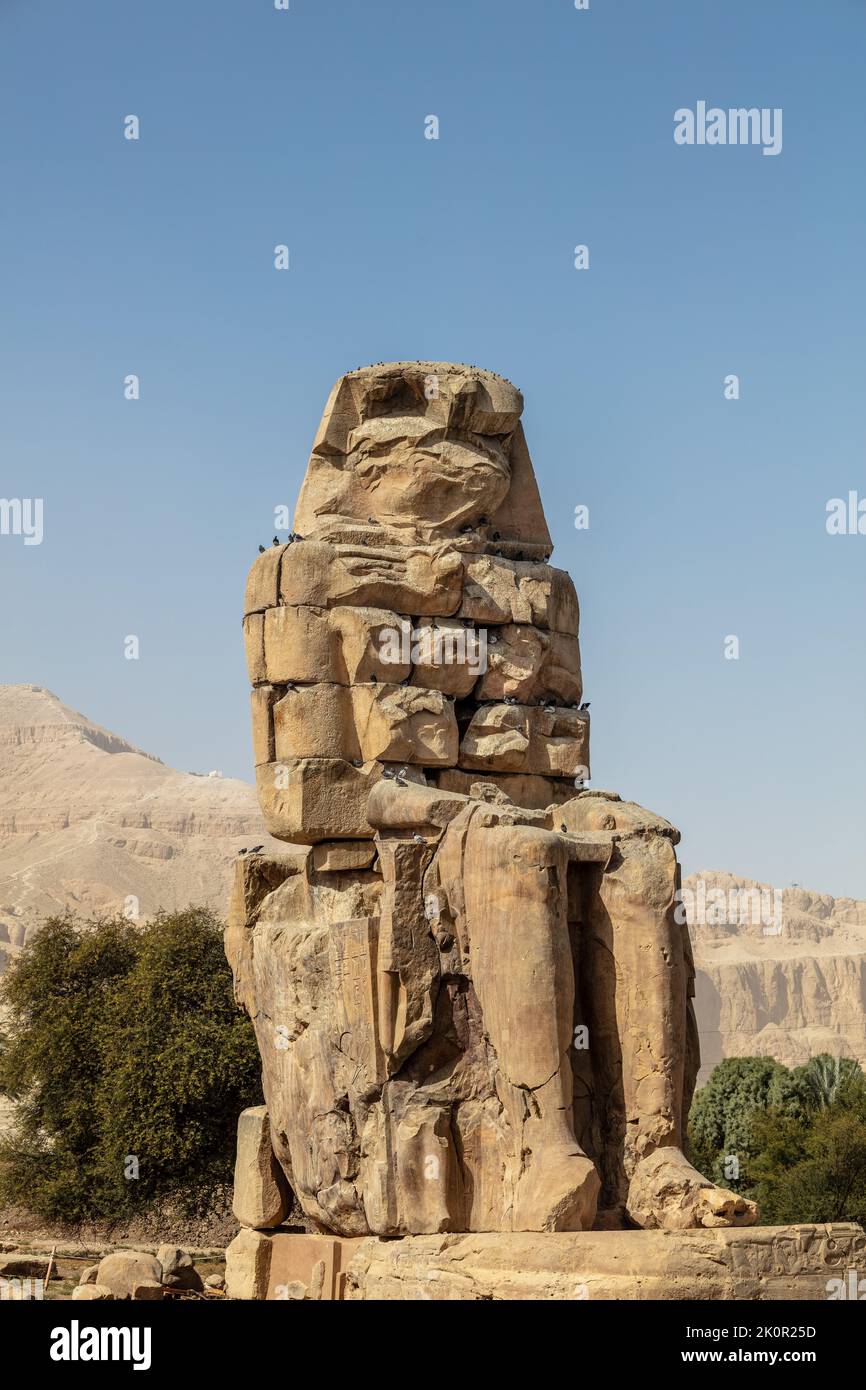 Beautiful daytime view of the Colossi of Memnon. Two large stone ...