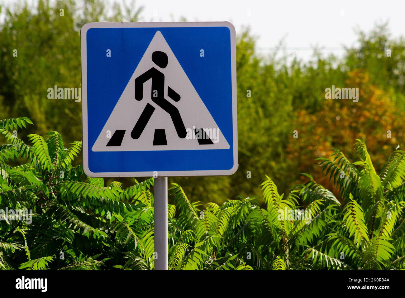 Pedestrian triangle road sign blue background Stock Photo - Alamy