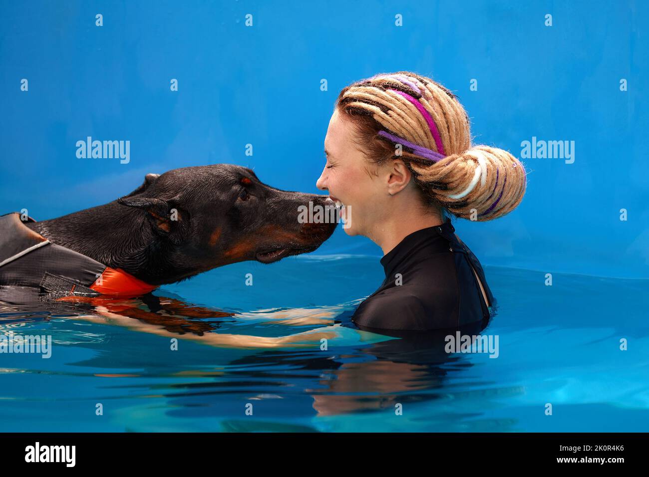 Dog trainer at the swimming pool, teaching the dog to swim Stock Photo ...