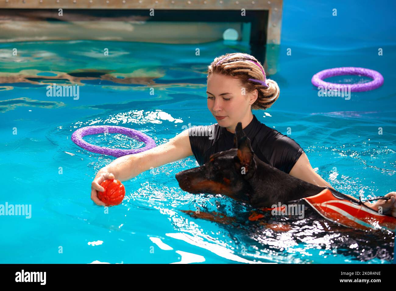 Dog in life jacket swim in the swimming pool with coach. Pet rehabilitation. Recovery training ...