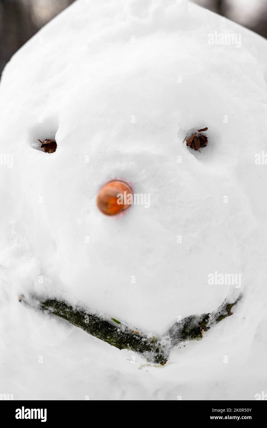 Face of smiling snowman with carrot nose, twig mouth, eyes made of ...