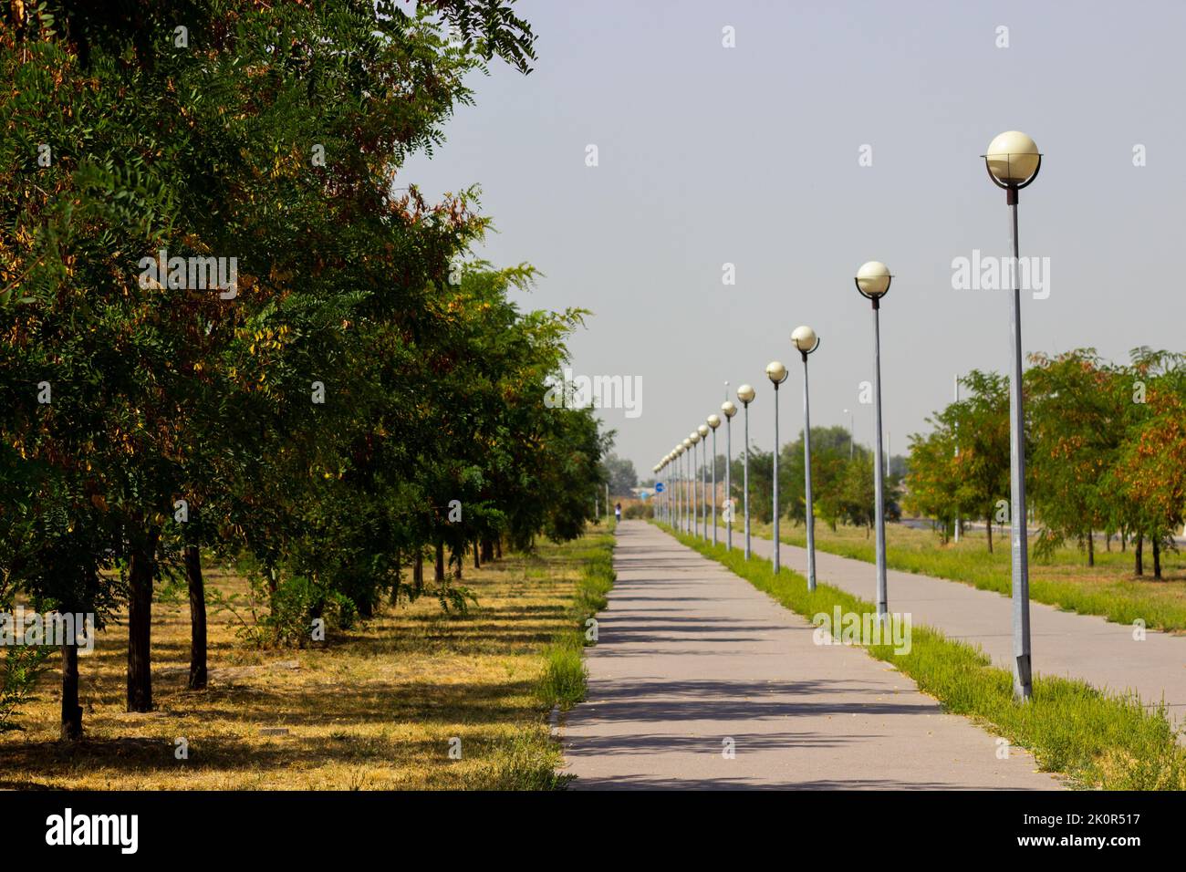 city alley with trees and lighting poles Stock Photo - Alamy