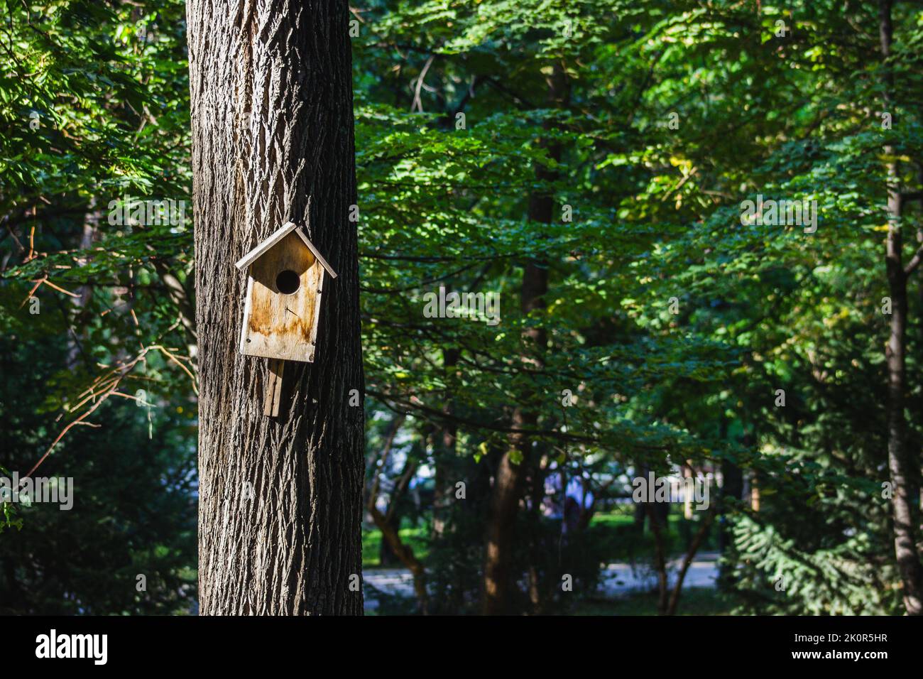 wooden birdhouse nesting box on the tree Stock Photo - Alamy