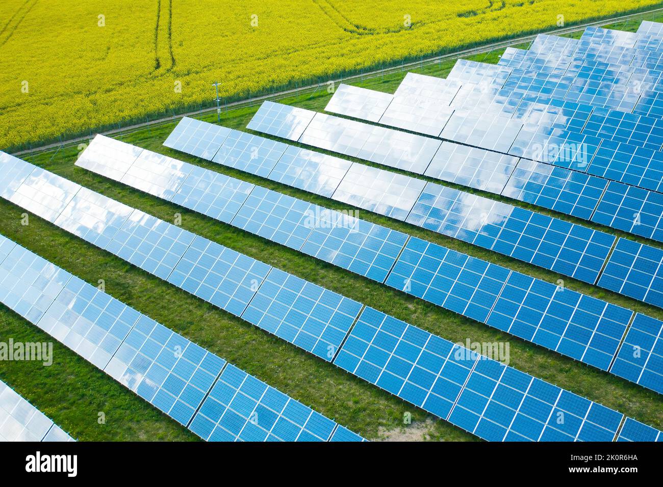 Long rows of sun panels built on green field. Innovative photovoltaic ...