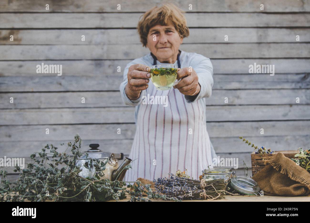 Grandmother makes tea medicinal herbs hi-res stock photography and ...