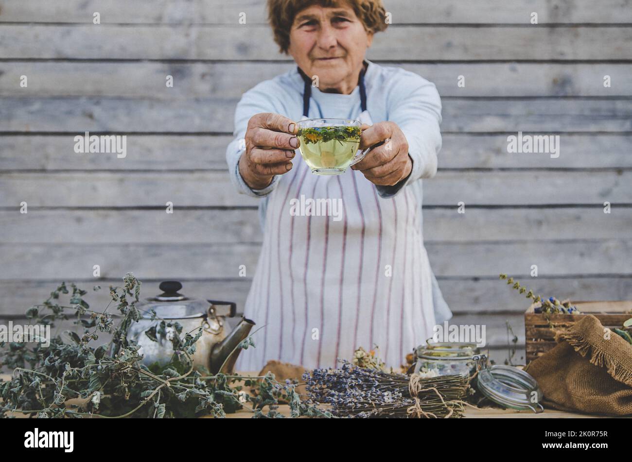 Grandmother makes tea with medicinal herbs. Selective focus Stock Photo ...