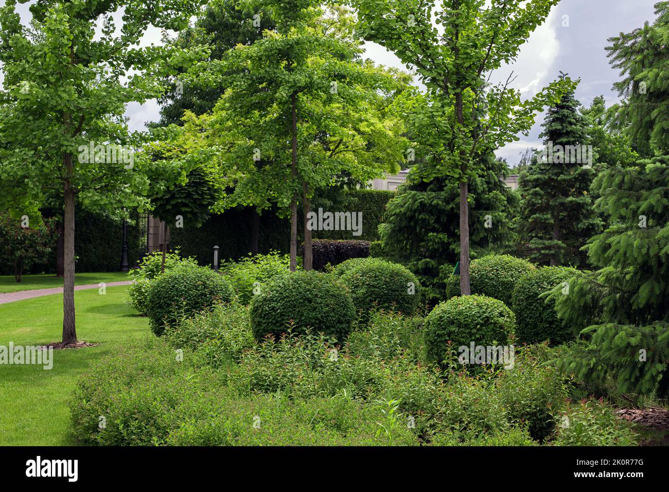 trimmed green deciduous bushes in backyard garden bed, park landscaping ...