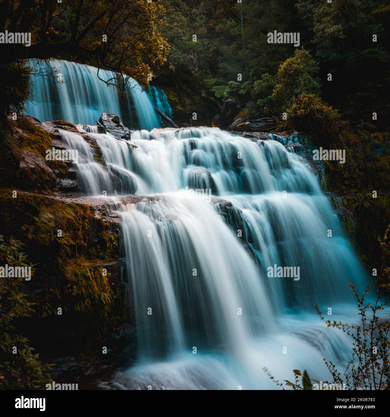 The foamy waters of Liffey Falls waterfall in Tasmania during colorful ...