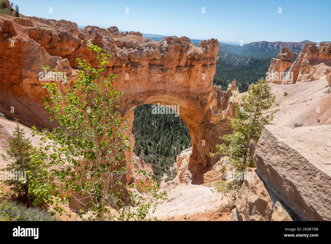 Scenic view to Bryce Canyon rocks in midday sun Stock Photo - Alamy