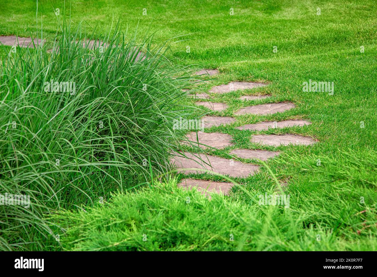 rough different shapes of natural stone footpath paved in green ...
