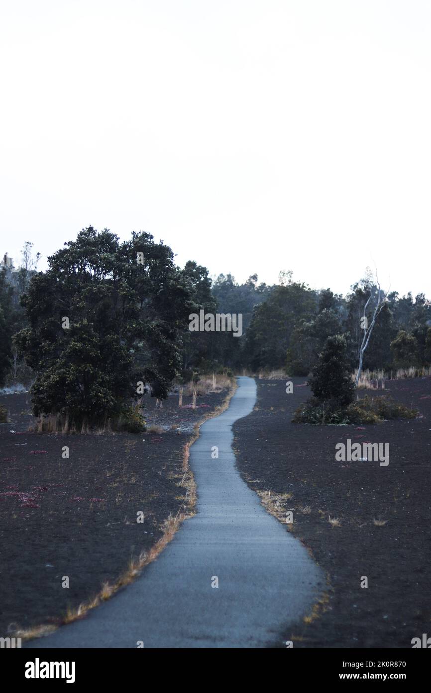 A vertical shot of a narrow asphalt path at Hawaii Volcanoes National ...
