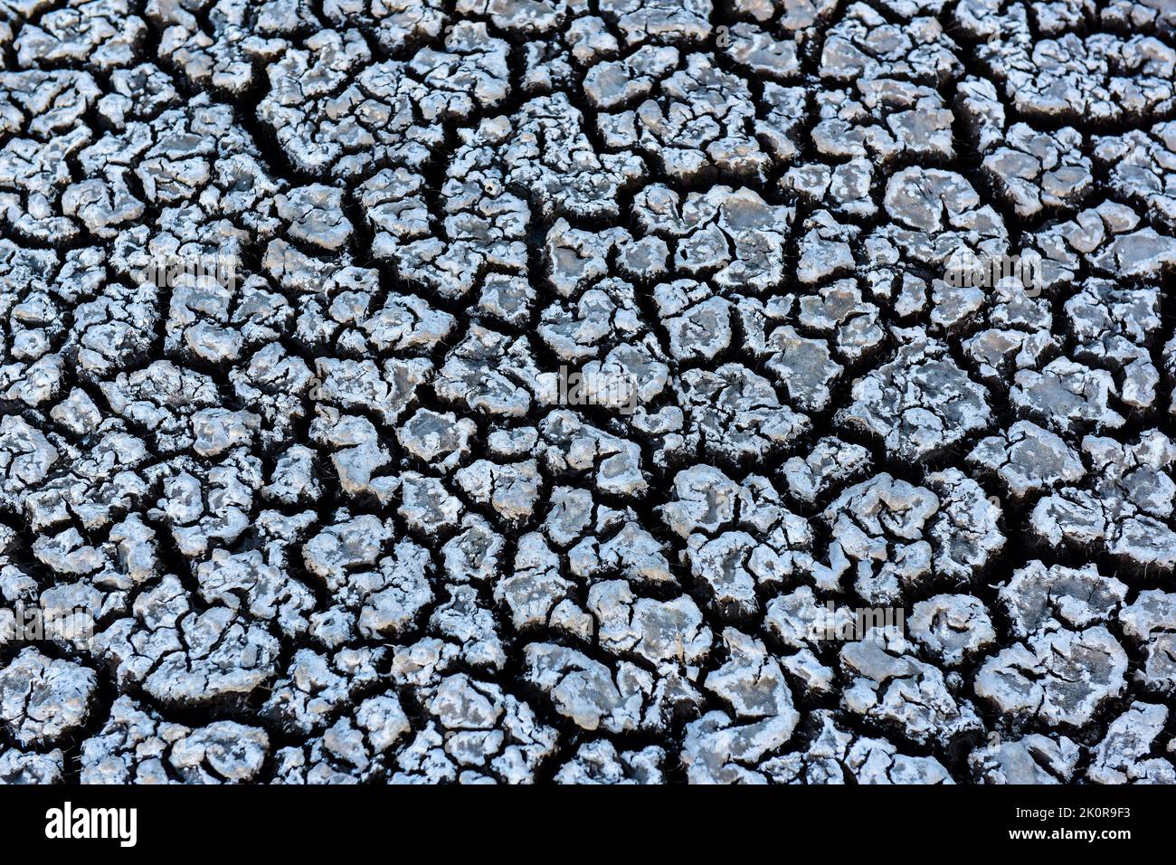 Cracked soil texture in the desert, La pampa Province, Patagonia ...