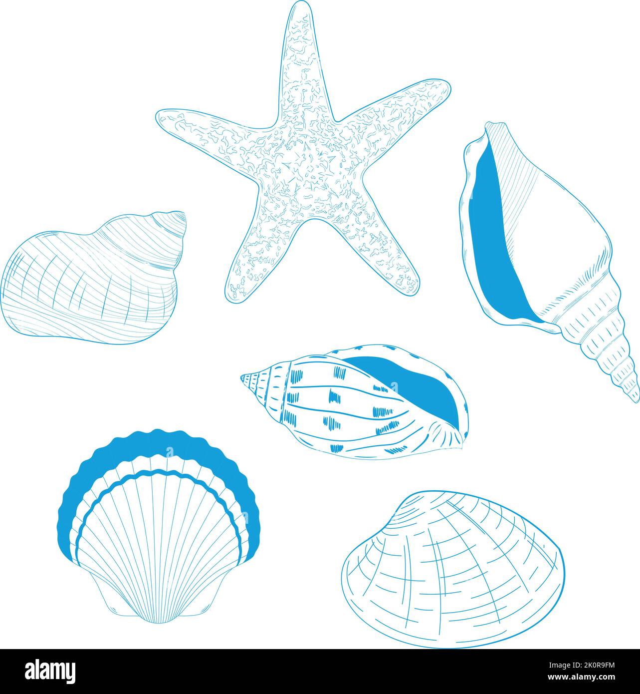 The hand drawn blue seashells on a white background Stock Vector Image ...