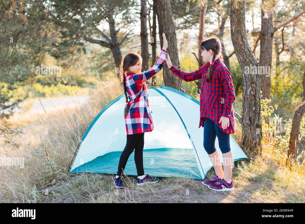 Cheerful teenage girls are satisfied with the work done and give each ...