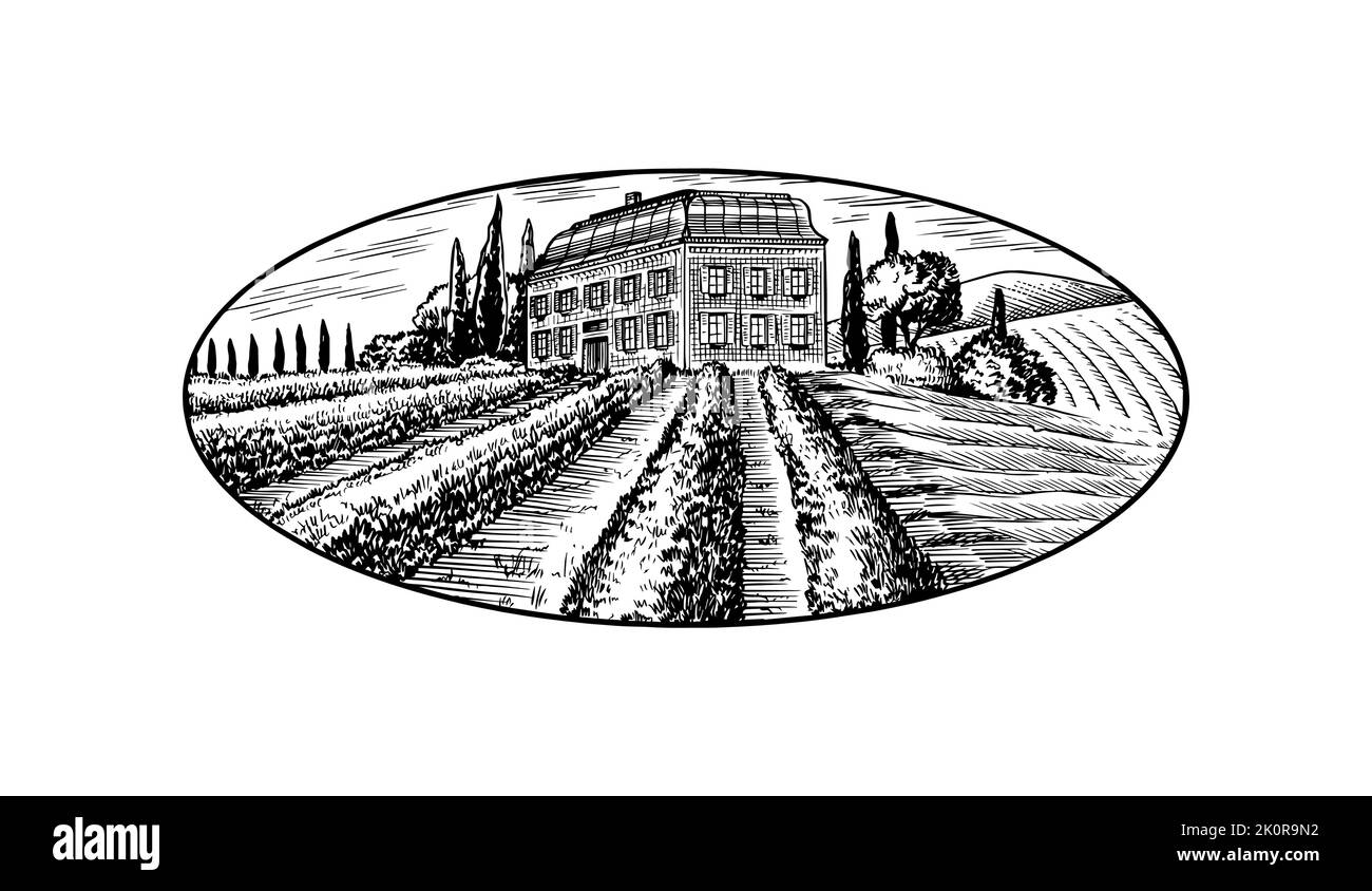 Vine plantation for bottle labels. Scenic view of French or Italian ...