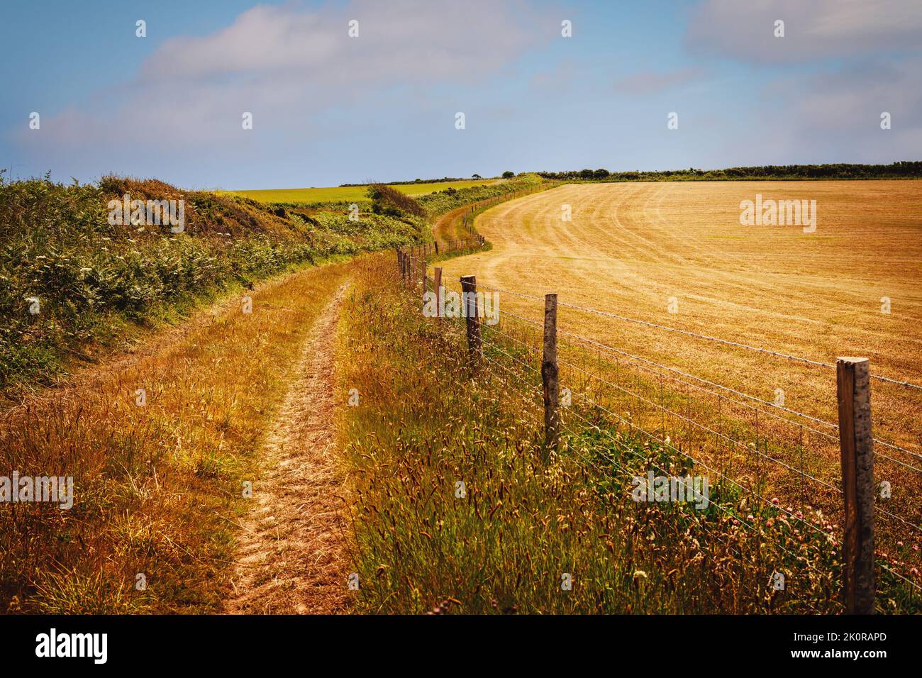Pathway through fields in Devon, Uk, Summer 2022 Stock Photo - Alamy