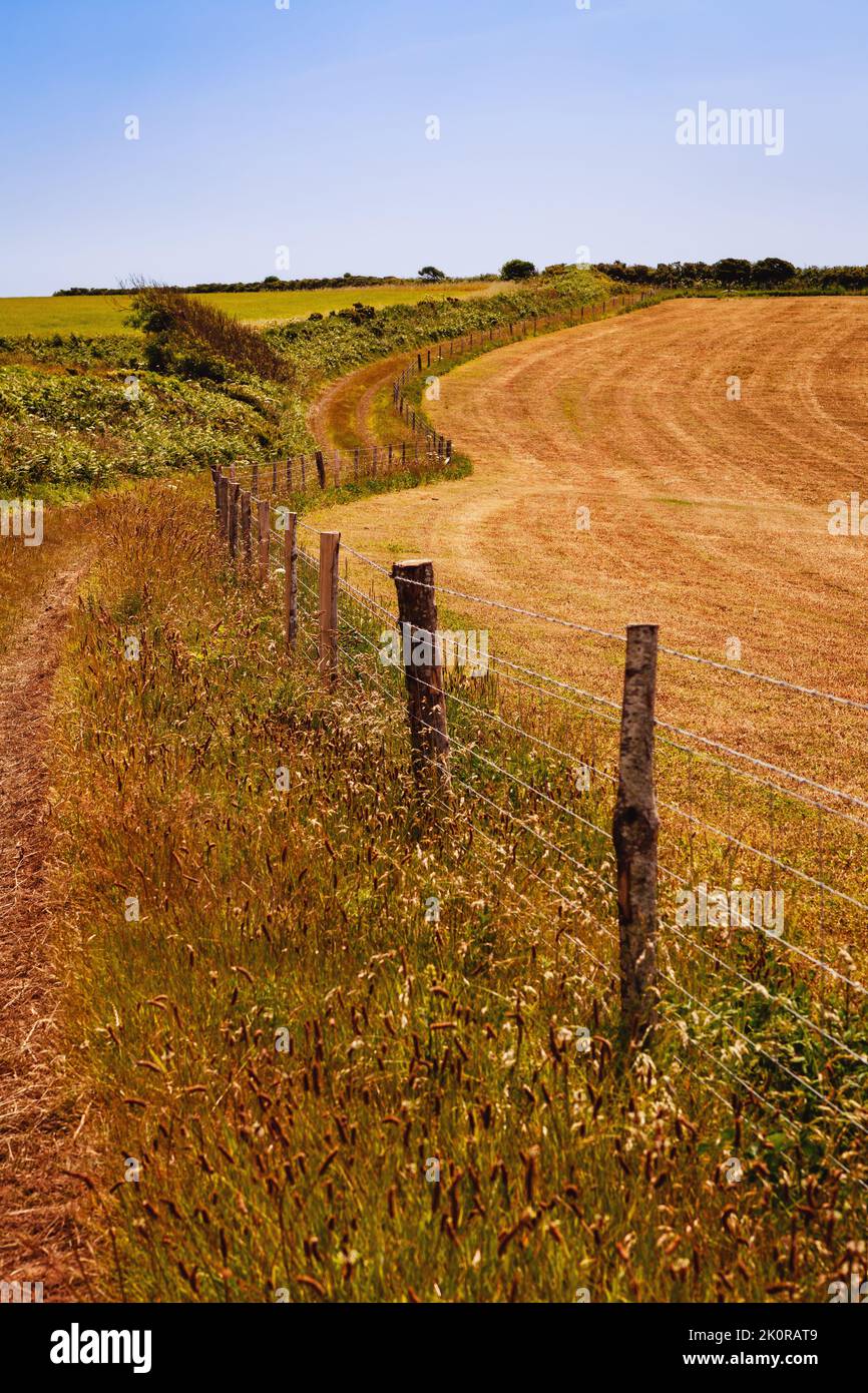 Pathway through fields in Devon, Summer 2022 Stock Photo - Alamy