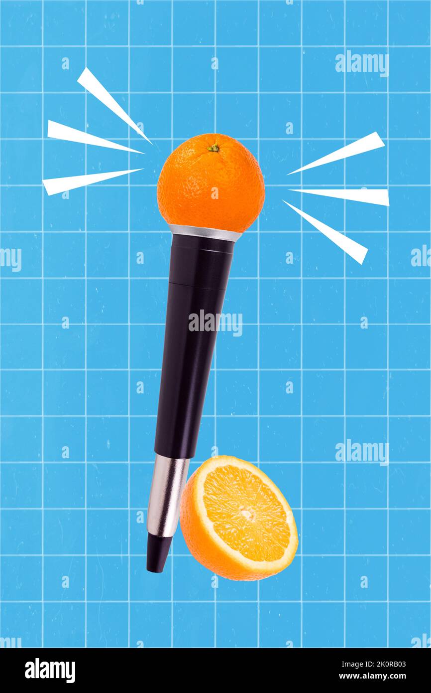 Collage photo of microphone loudspeaker abstract creative orange slices ...