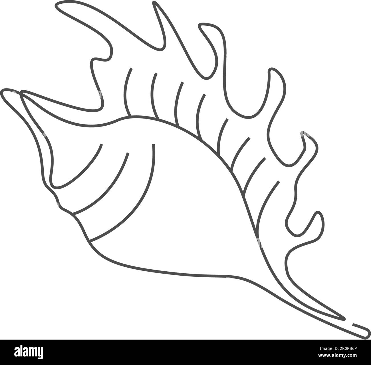 Beautiful shell icon logo design illustration Stock Vector Image & Art ...