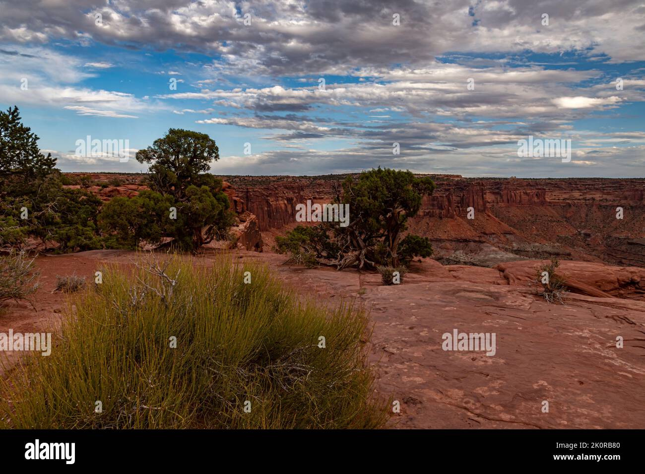 A view out over the canyons and canyon walls of Canyonlands National ...