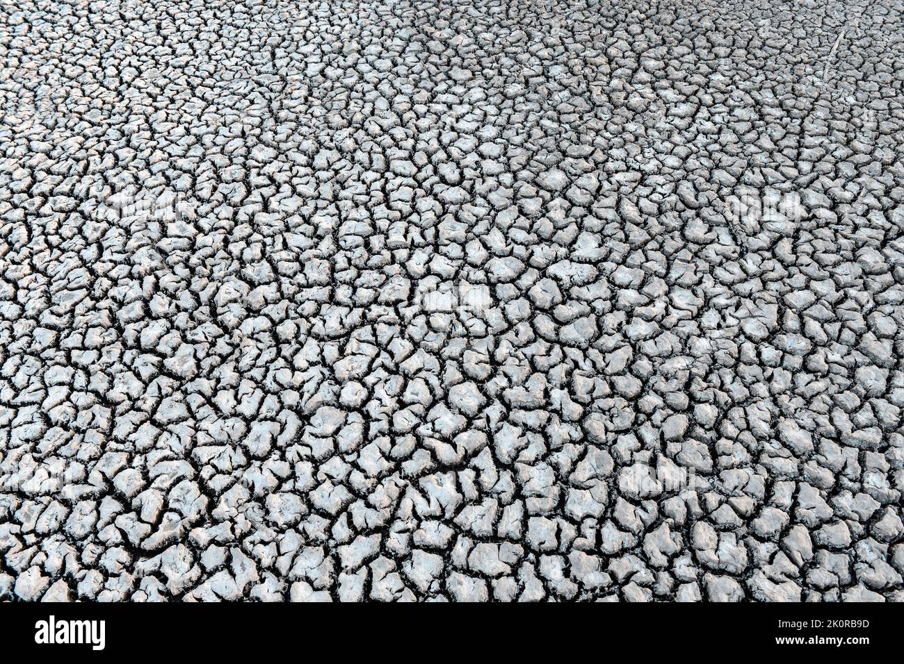 Cracked soil texture in the desert, La pampa Province, Patagonia ...