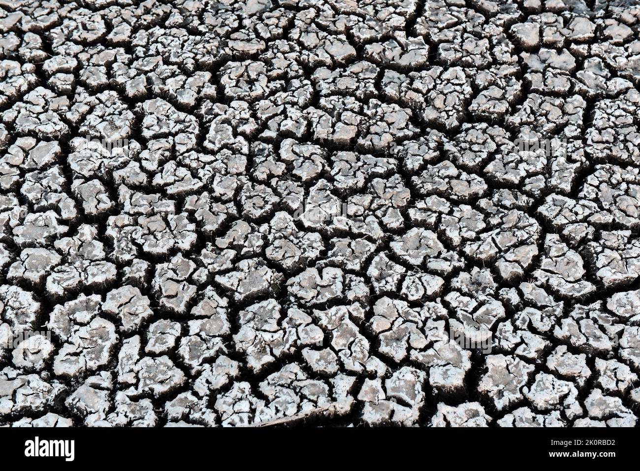 Cracked soil texture in the desert, La pampa Province, Patagonia ...