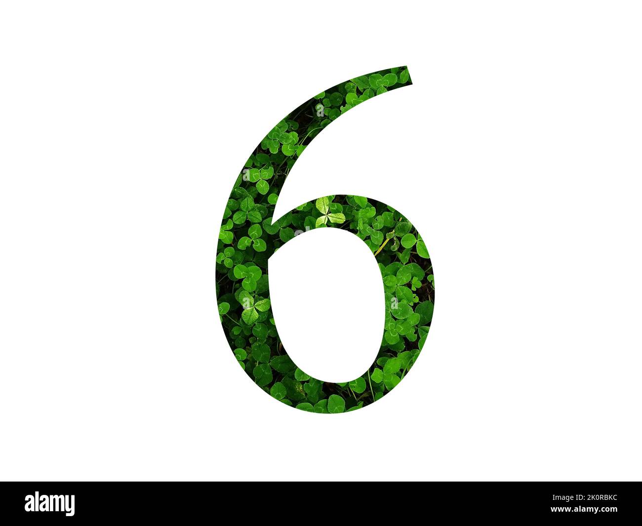 number 6 of the alphabet made with green leaf of a clover field. made ...