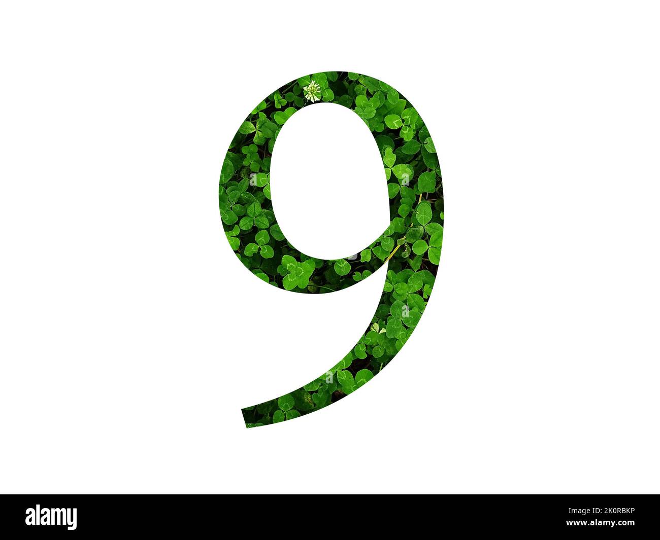 number 9 of the alphabet made with green leaf of a clover field. made ...