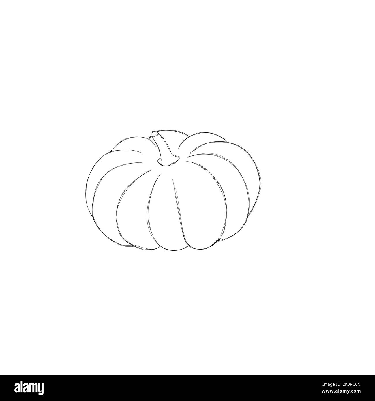 Ink sketch of pumpkin isolated on white background. Hand drawn ...