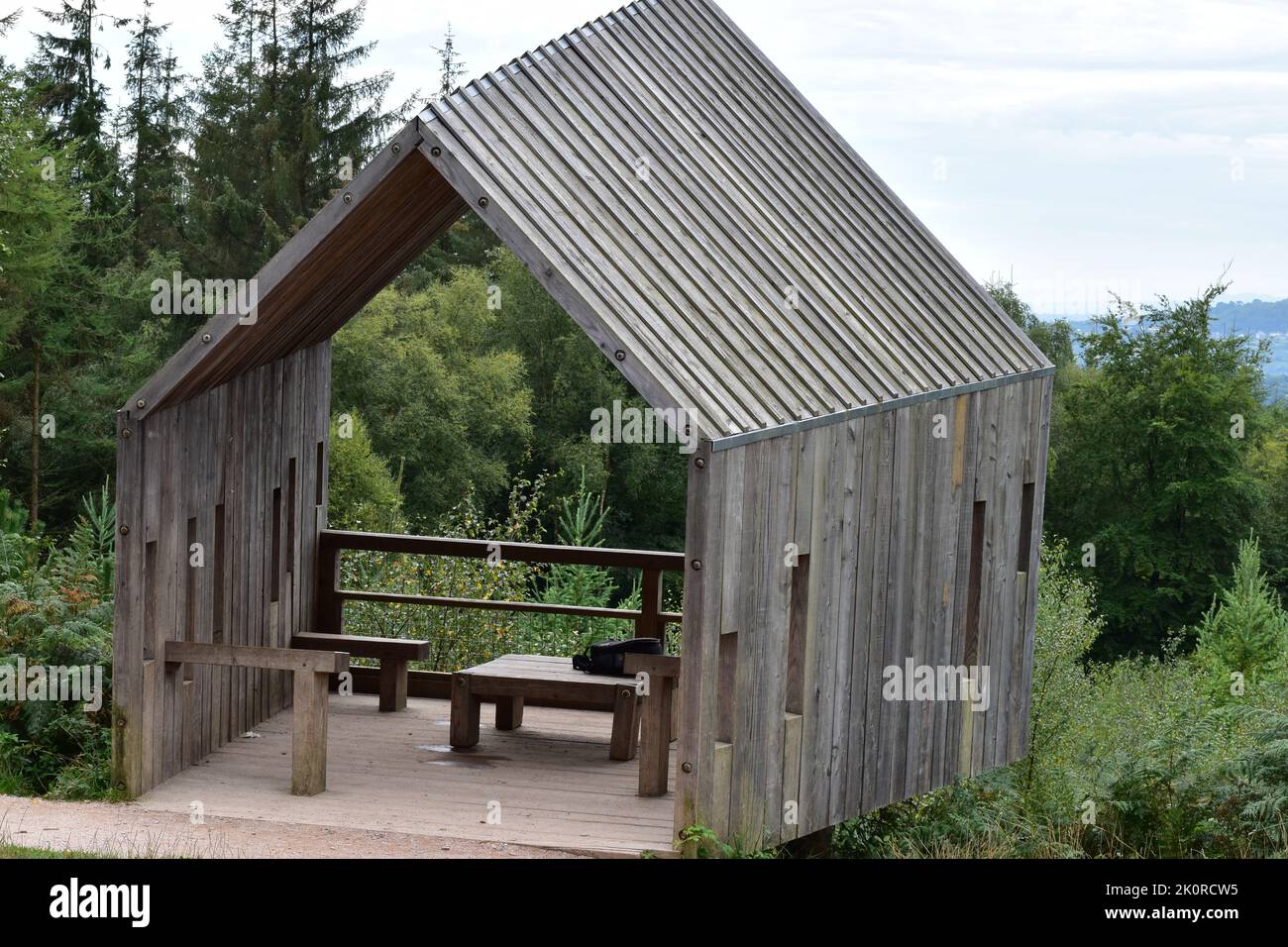 Conservation of forest birds hi-res stock photography and images - Alamy