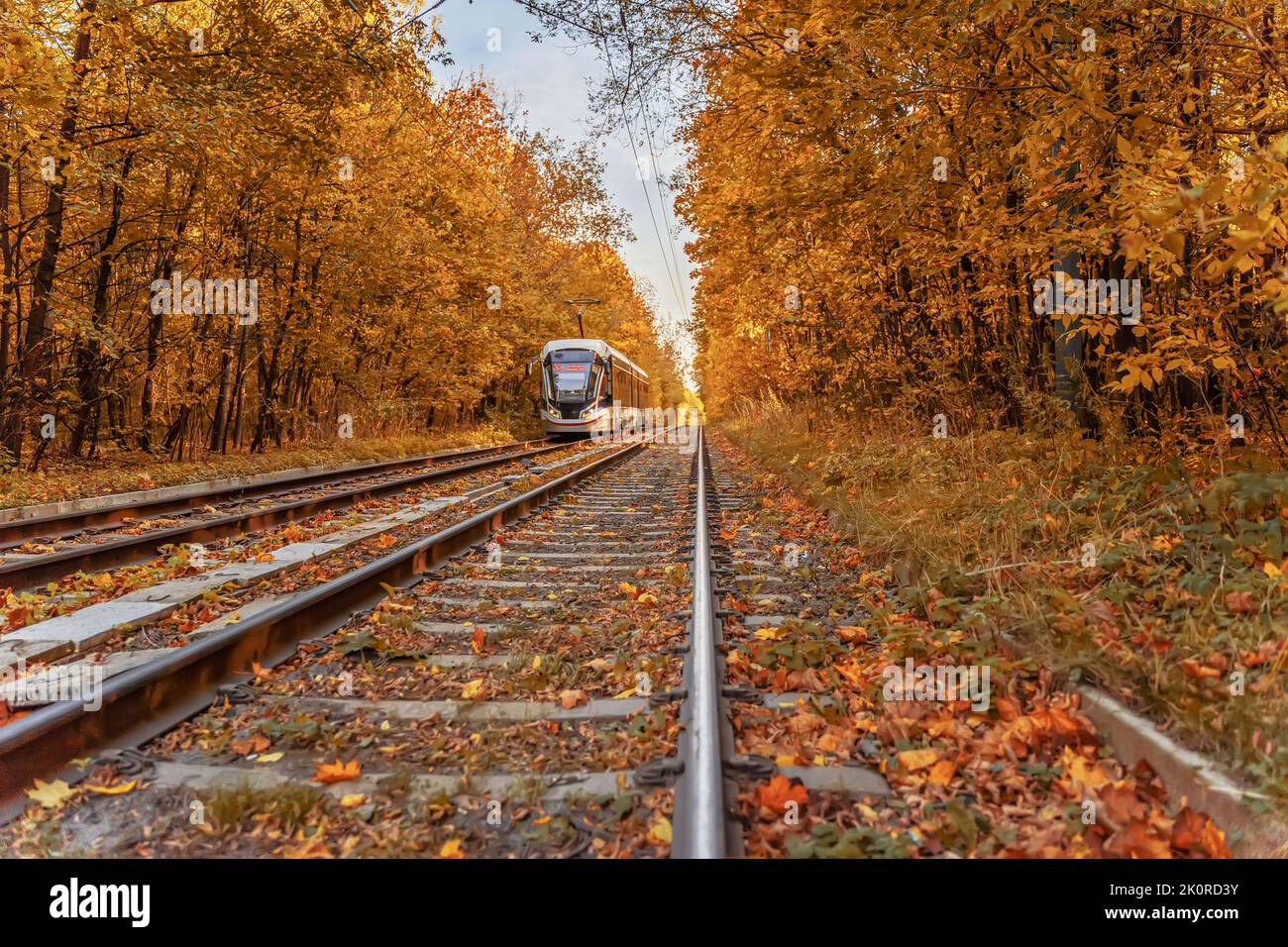 Autumn season with tram far away on railway. Fall, leaf fall concept ...