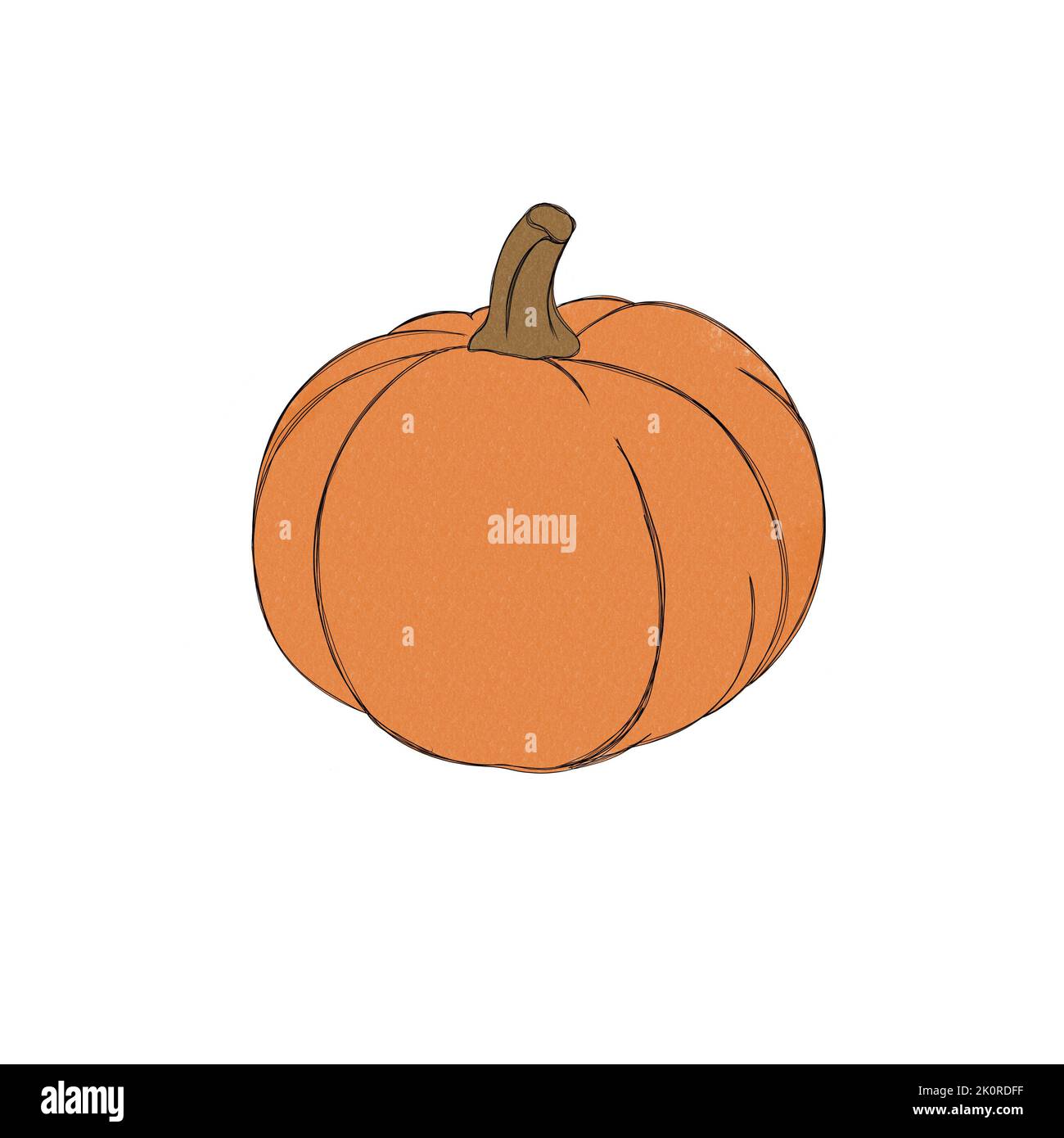 Pumpkin watercolor drawing free hand. Pumpkin for Thanksgiving. Bright ...