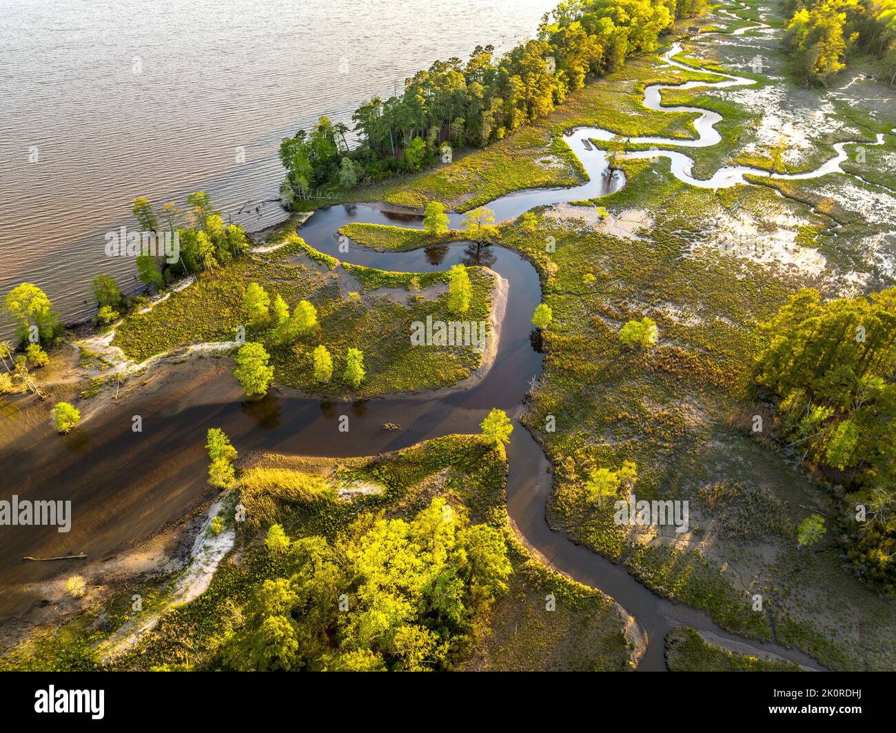 An aerial view of a curve lake with trees Stock Photo - Alamy