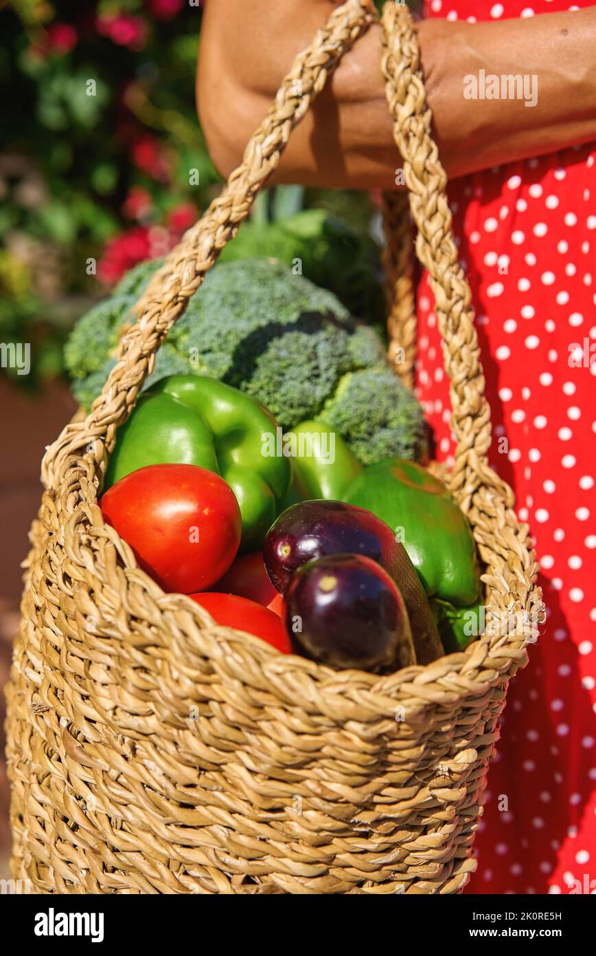 Healthy food nutrition concept and agriculture store owner concept with ...