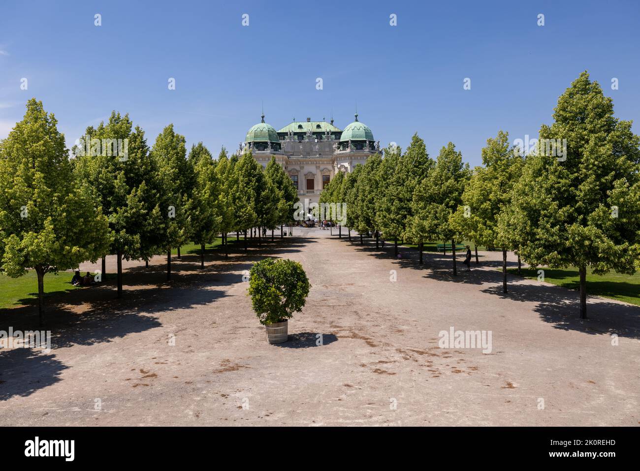 The gallery of Belvedere in the background of the alley with trees in ...