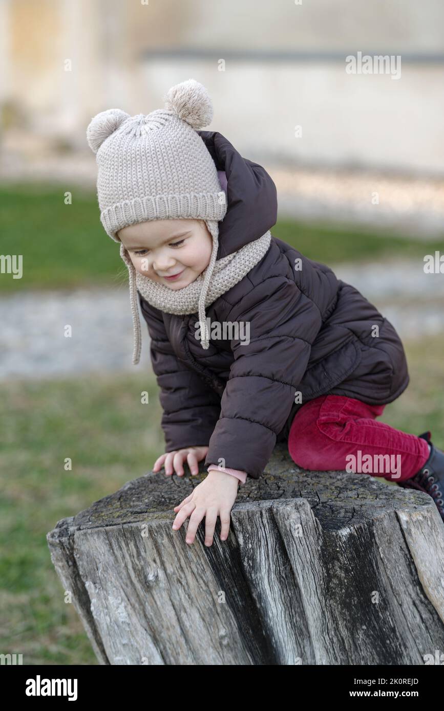Girl playing on old tree stump in a public park Stock Photo - Alamy