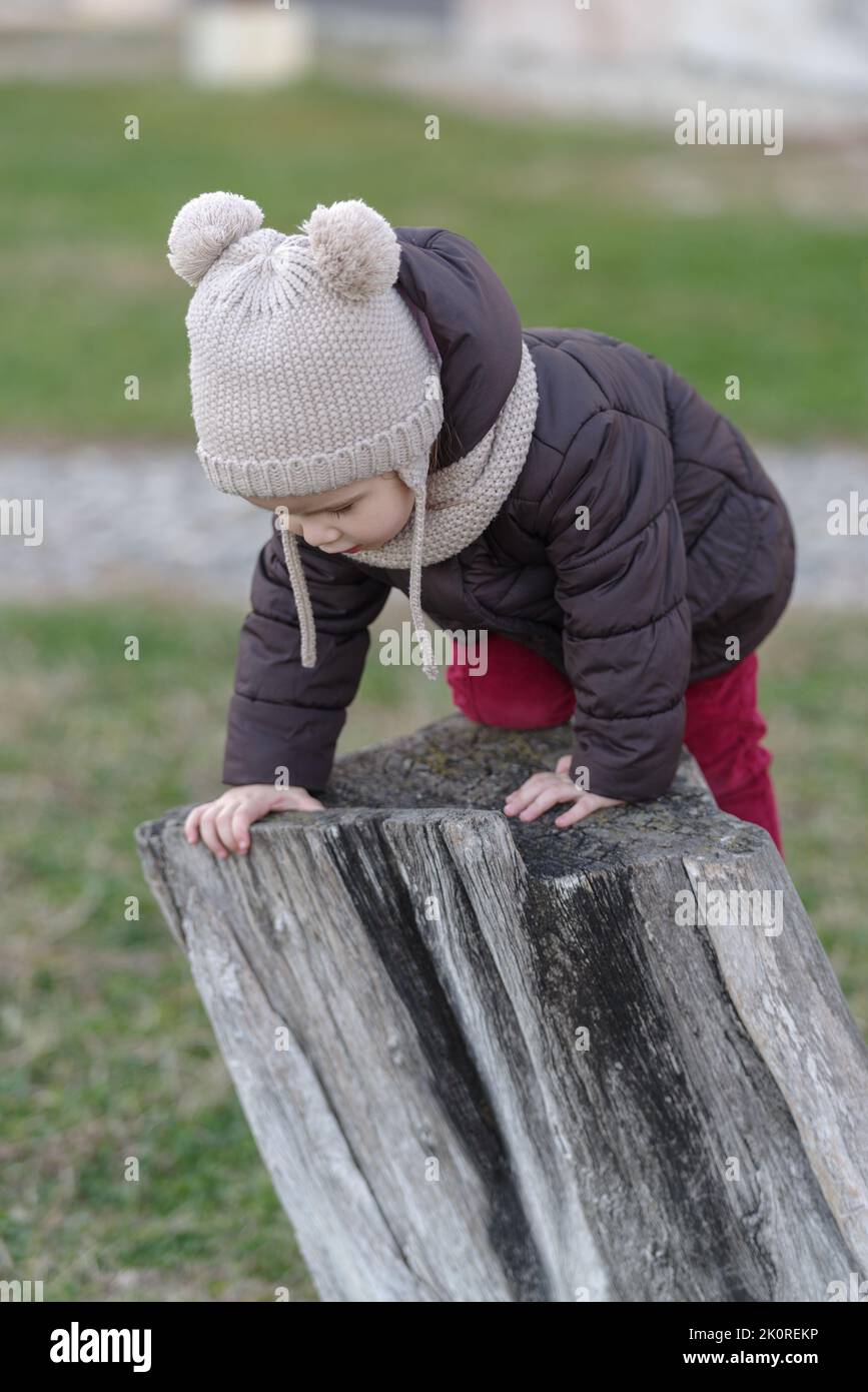 Girl playing on old tree stump in a public park Stock Photo - Alamy