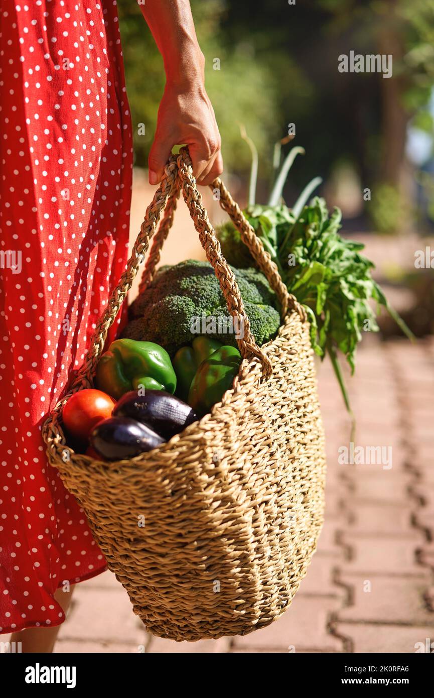 Healthy food nutrition concept and agriculture store owner concept with ...