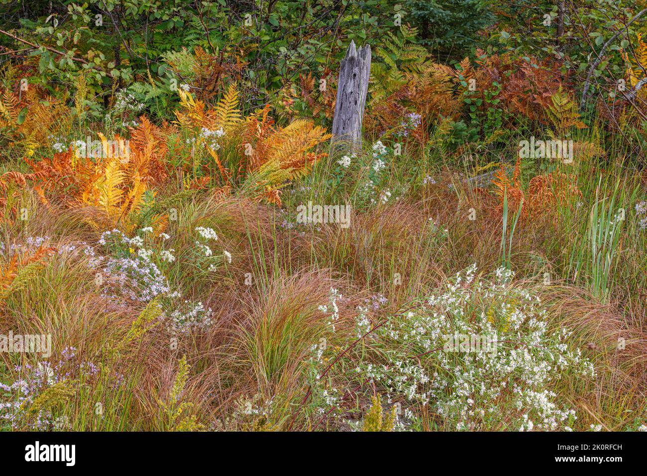 A pretty little scene on the side of the road along Hwy 77 in northern ...