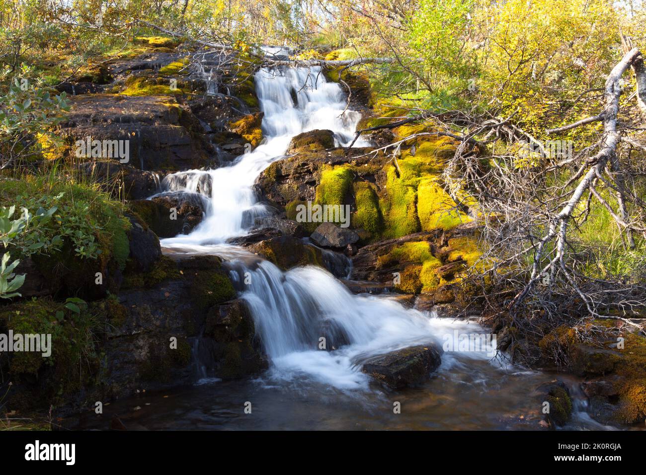 Little brook, creek in the mountain. Autumn and earth-tune colors in ...