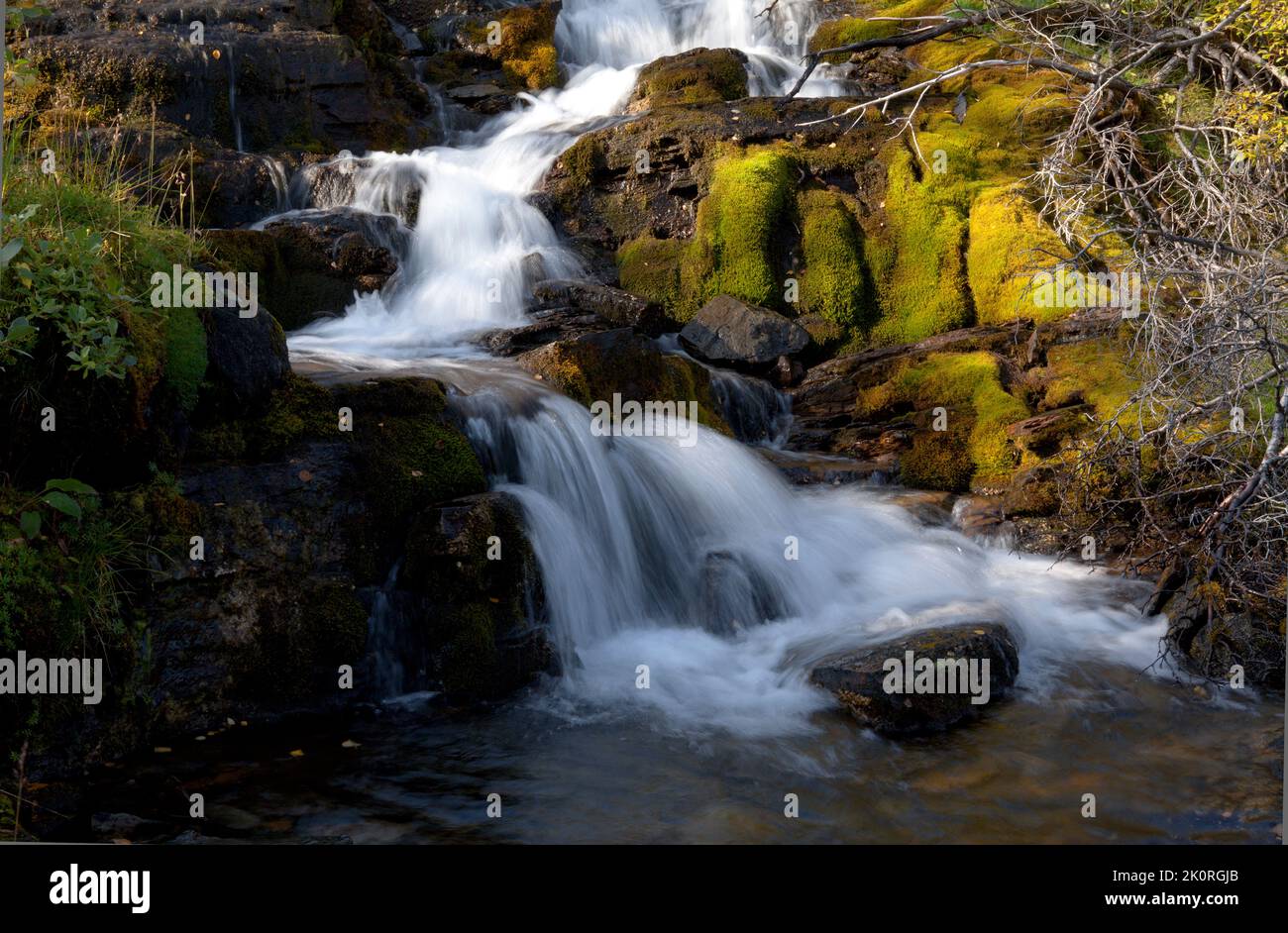 Little brook, creek in the mountain. Autumn and earth-tune colors in ...