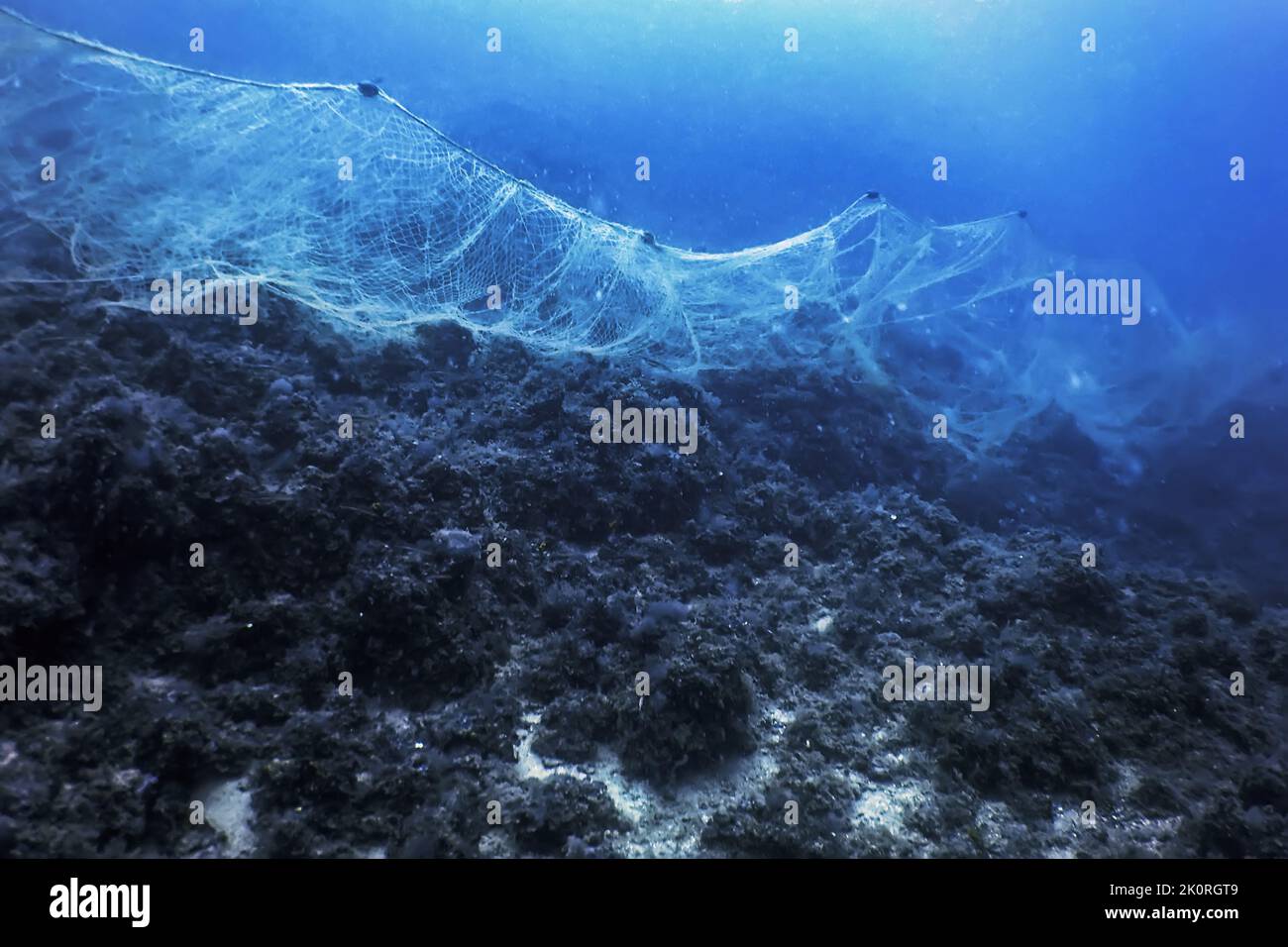 A fishing net underwater fixed on the seabed, deep water Stock Photo ...