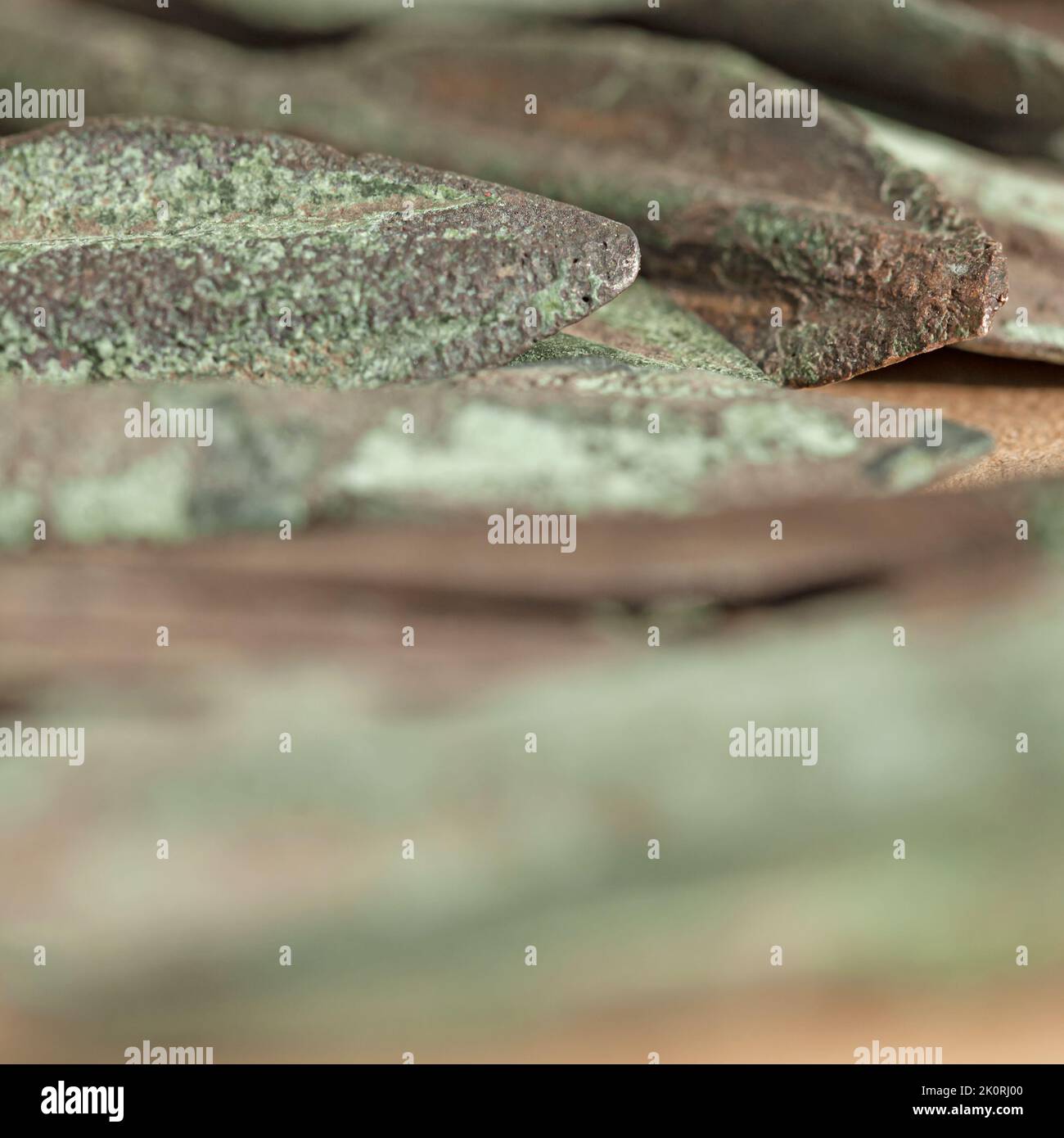 Selective focus. Copy space. Ancient Scythian Bronze Arrowheads ...