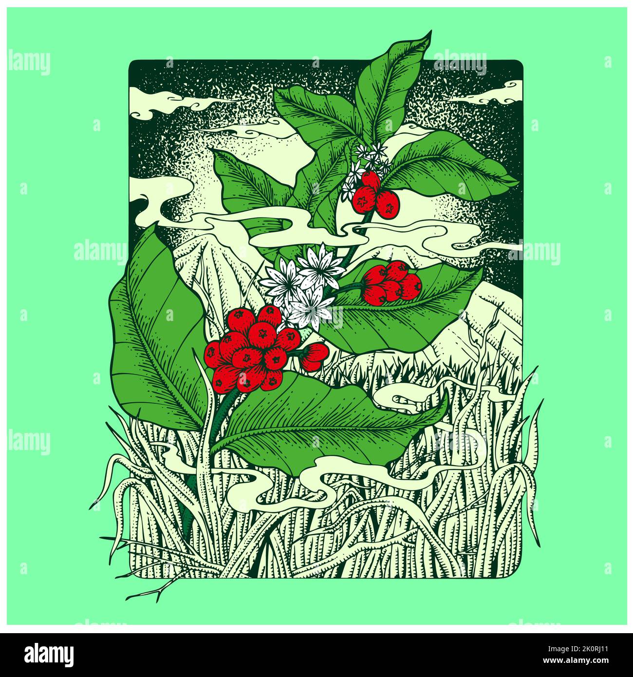 Vector stock illustration of the degree of roasting of coffee beans ...