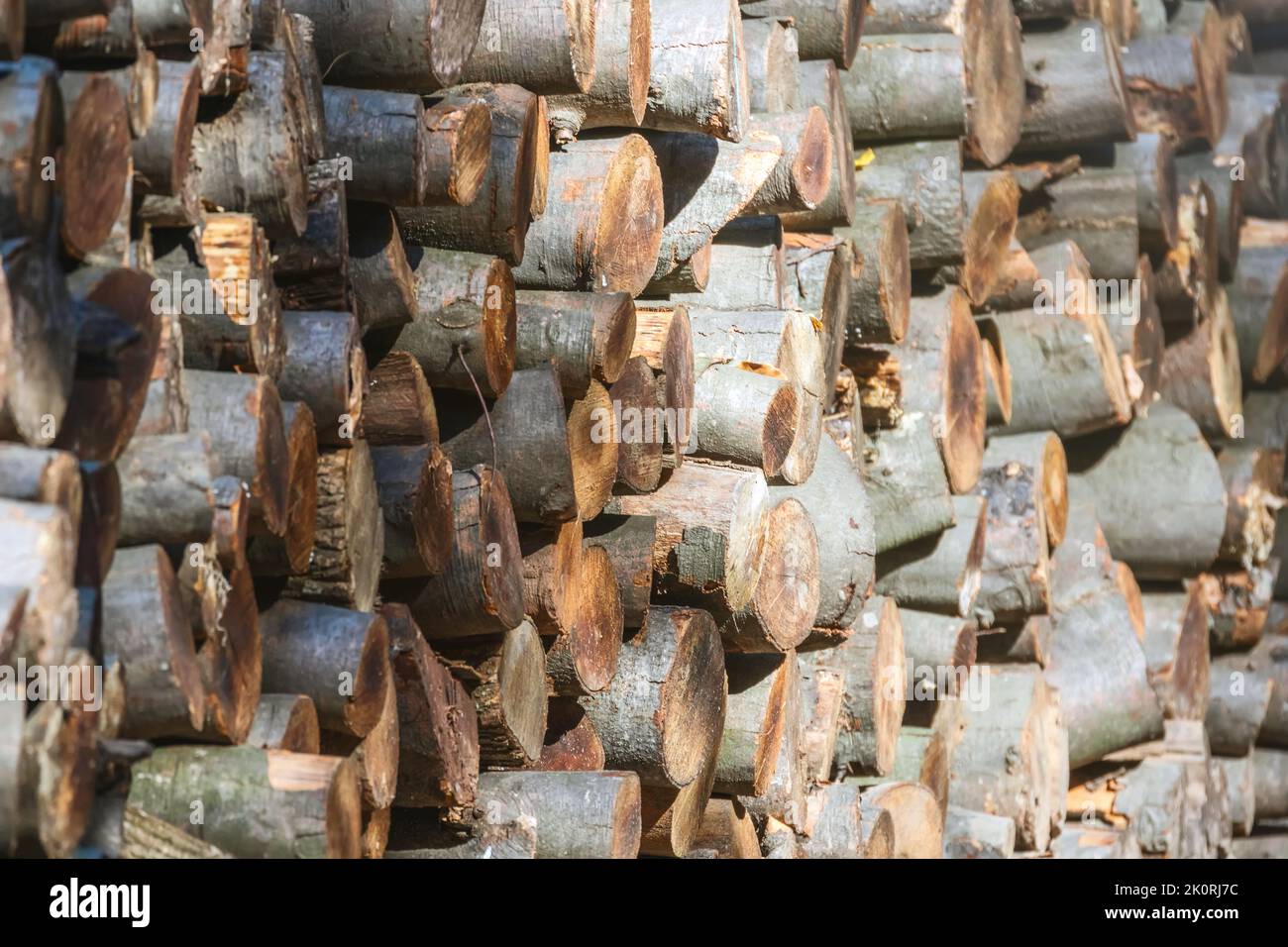 Pile of Wood, Stack of Firewood Close Up, Background Stock Photo - Alamy