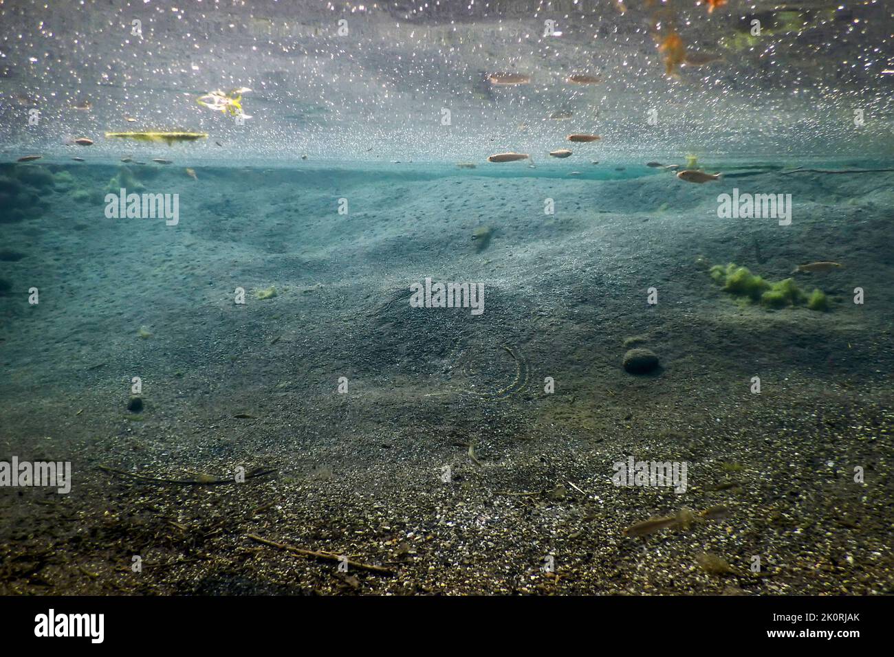 Underwater pebbles and gravel, rivers freshwater underwater, crystal ...