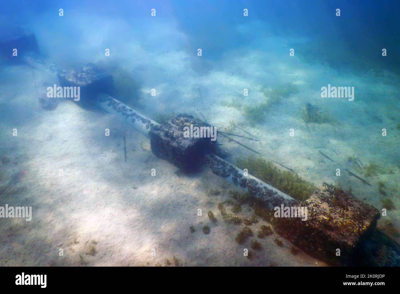 Underwater sewer wastewater pipe, environment nature pollution sea ...